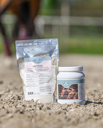 Zusatzfutter für Pferde im Onlineshop | felix-buehler.ch