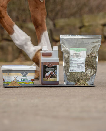 Zusatzfutter für Pferde im Onlineshop | felix-buehler.ch
