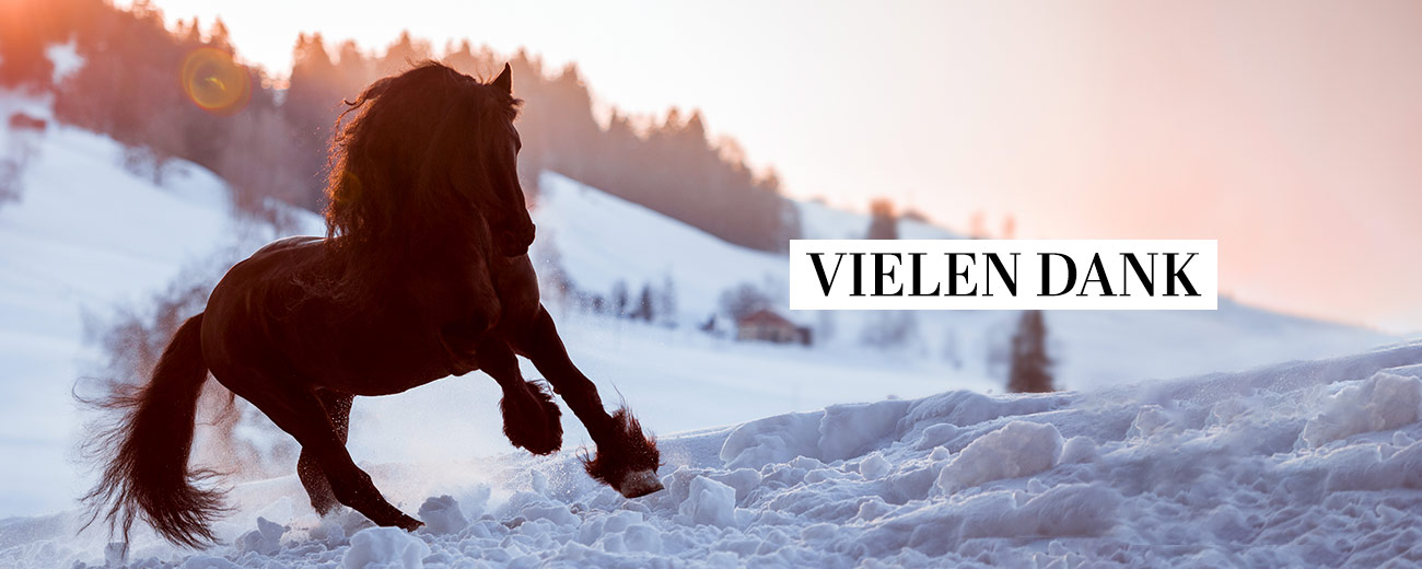 Reitzubehör und Reitsportartikel - Felix Bühler