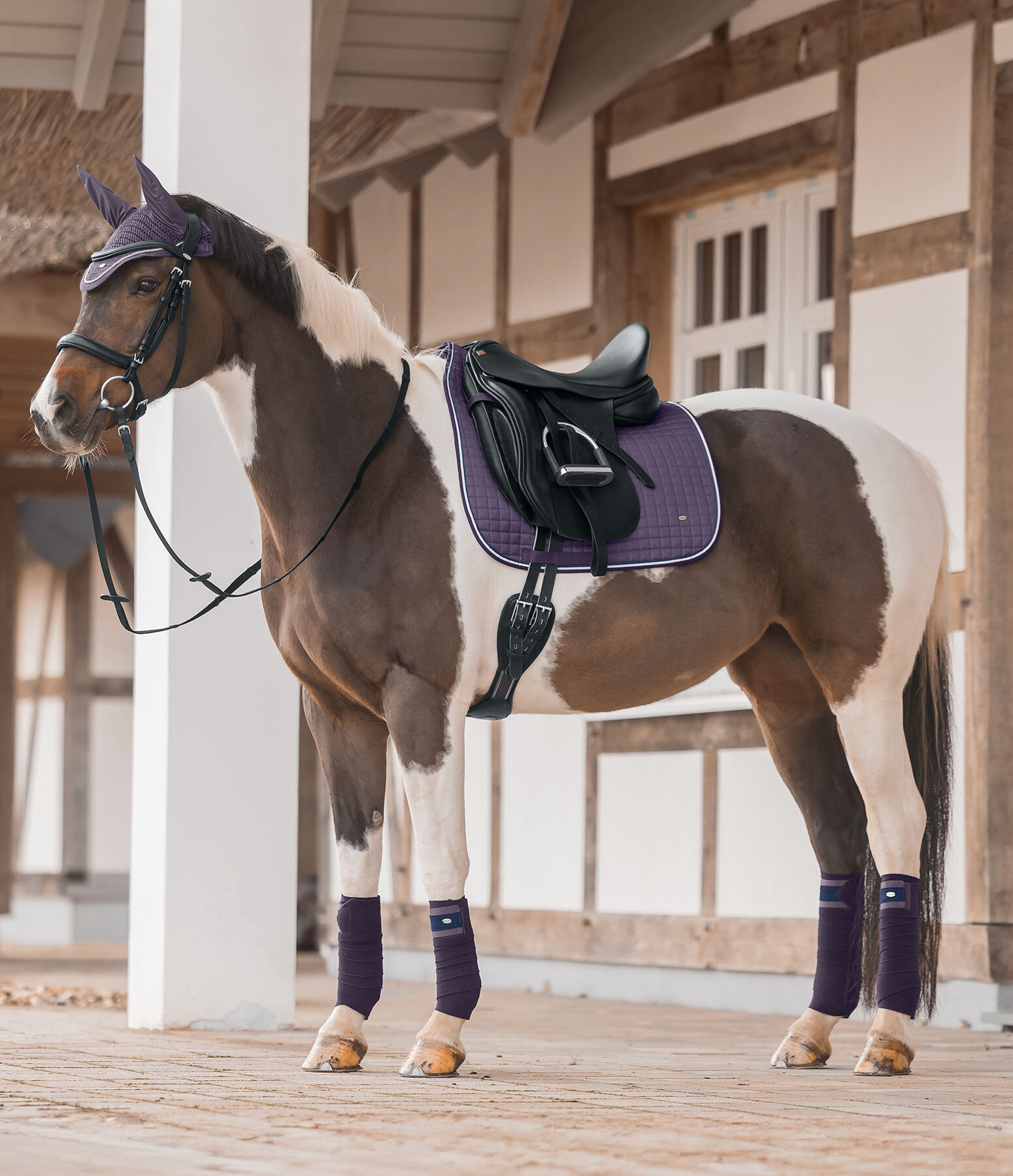 Basic in dark-violet - Outfits für Pferde - Felix Bühler